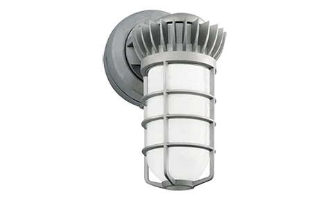 RAB Lighting - Indoor & Outdoor LED Lights